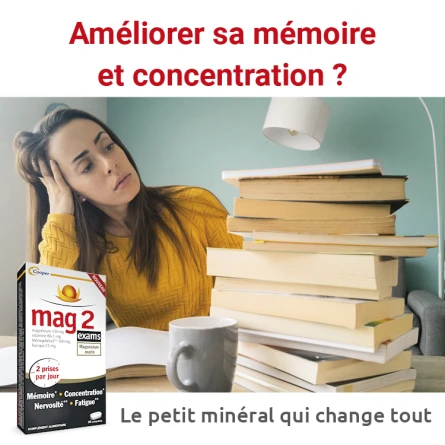 Magnésium Mémoire & Concentration - vitamine B6 - Mag2 Exams