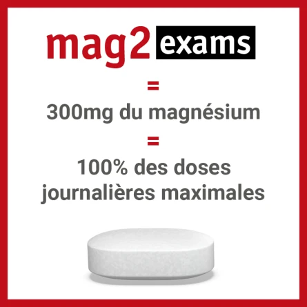 Magnésium Mémoire & Concentration - vitamine B6 - Mag2 Exams