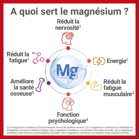 Magnésium Mémoire & Concentration - vitamine B6 - Mag2 Exams