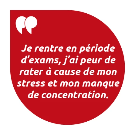 Magnésium Mémoire & Concentration - vitamine B6 - Mag2 Exams