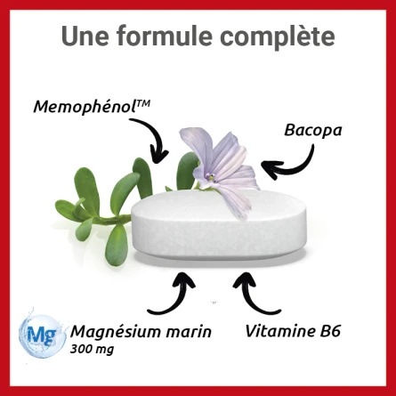 Magnésium Mémoire & Concentration - vitamine B6 - Mag2 Exams